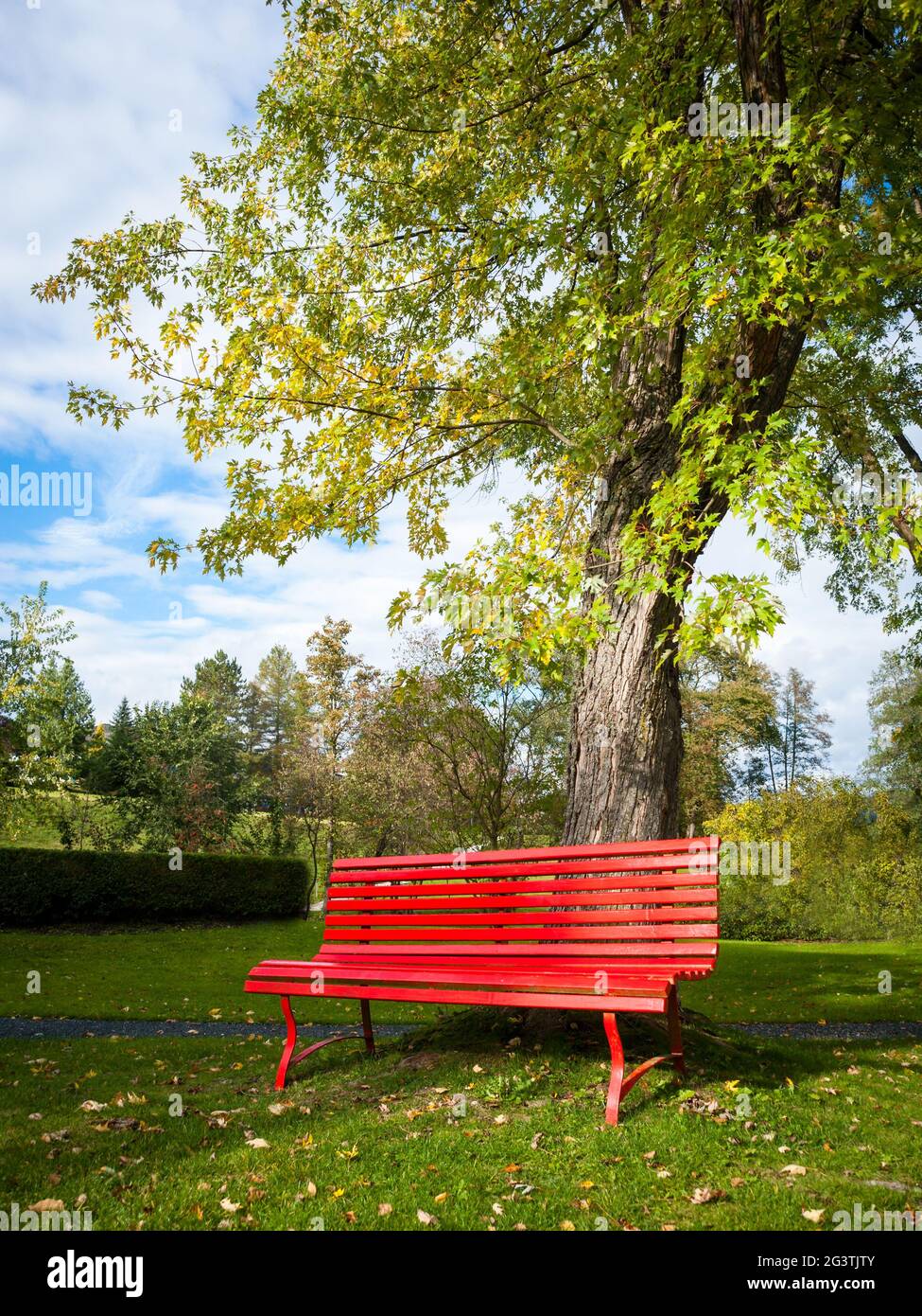 Empty green park bench hi-res stock photography and images - Alamy
