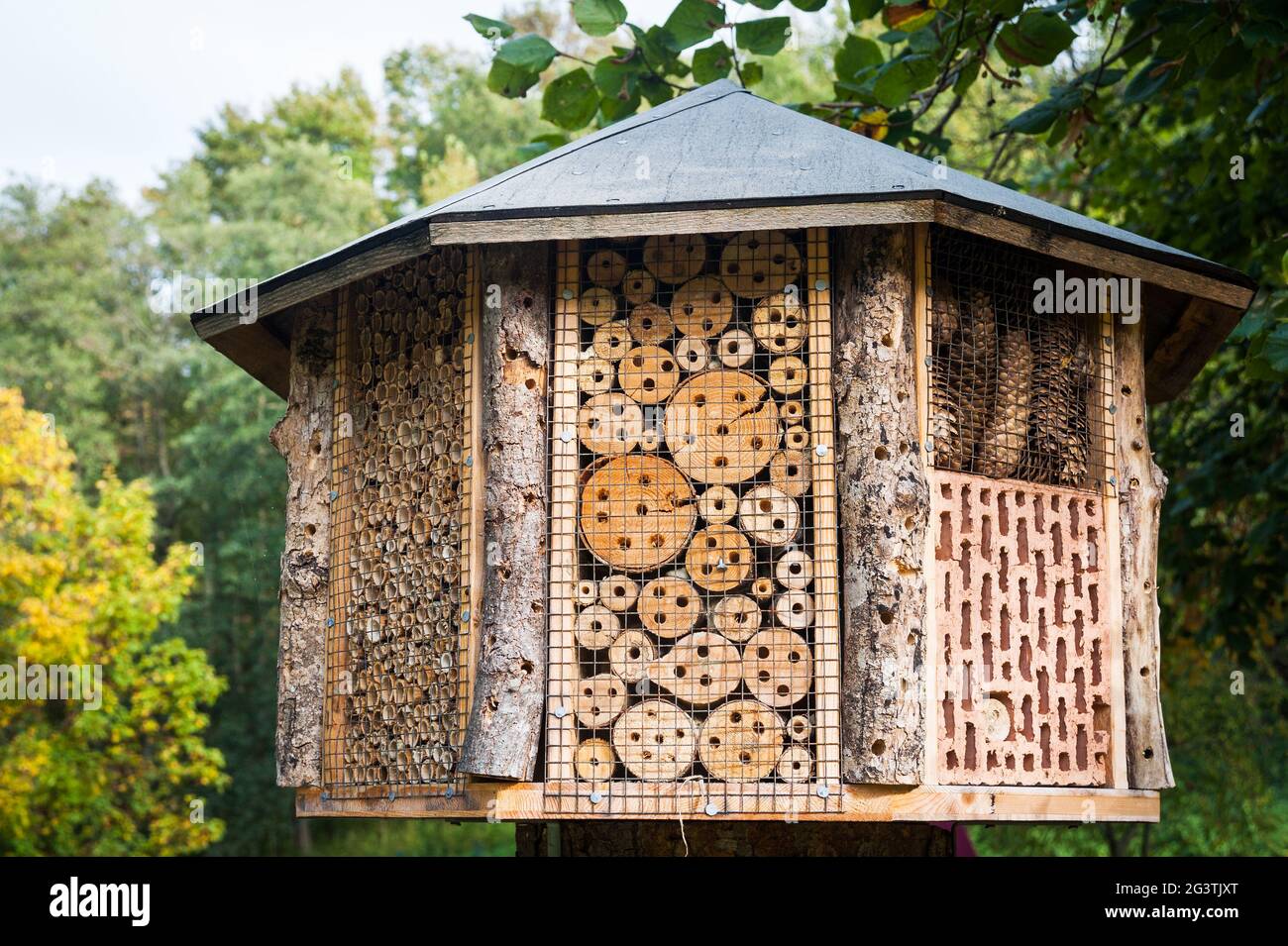 Insect Hotel at a parkland area Stock Photo - Alamy