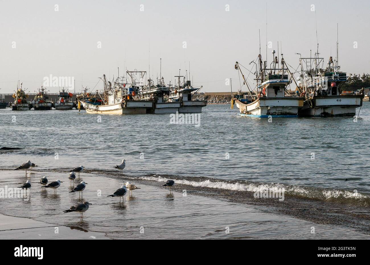 June 19, 2021-Taean, South Korea-A View of Taean sea shore and fishing ...