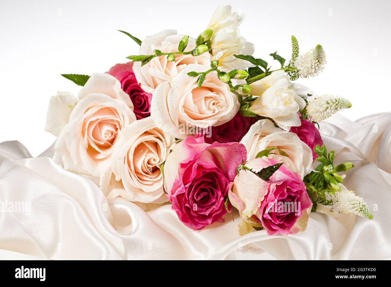 Red And White Roses Stock Photo - Alamy