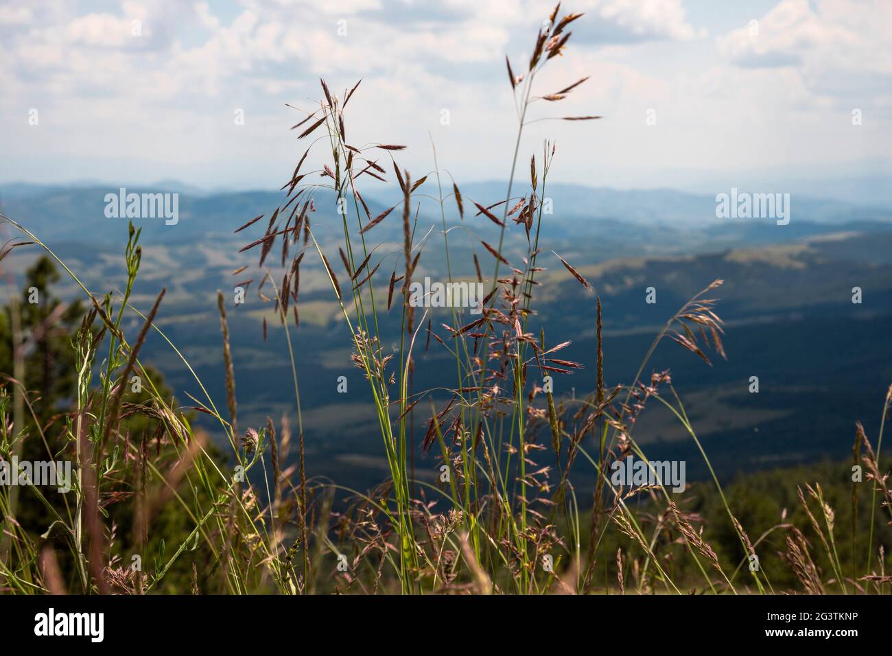 Divcibare panorama hi-res stock photography and images - Alamy