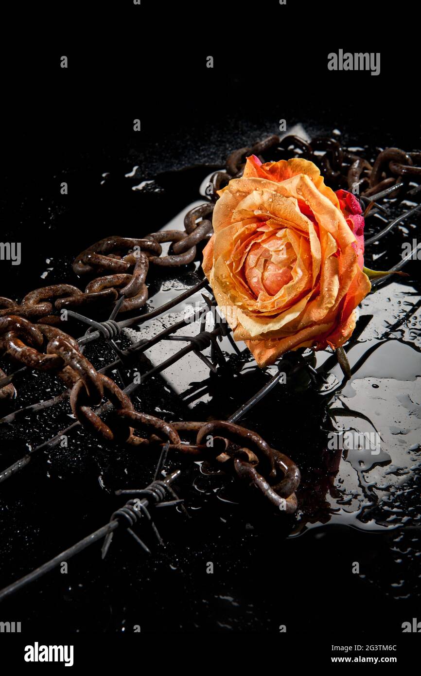 Flower chain arrangement hi-res stock photography and images - Alamy