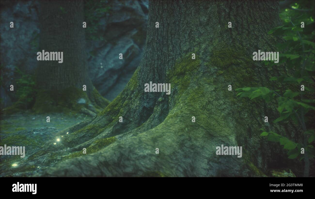 Mossed hi-res stock photography and images - Alamy