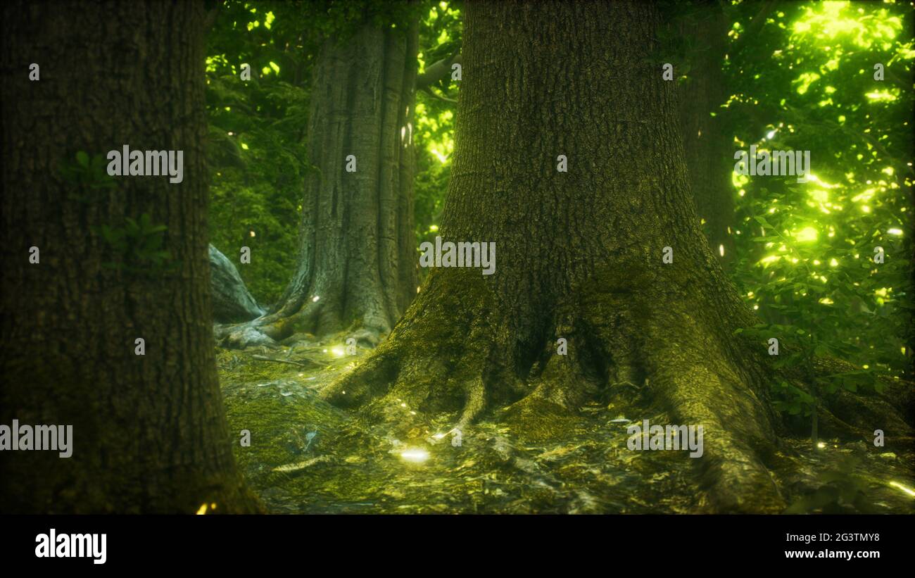 Mossed hi-res stock photography and images - Alamy