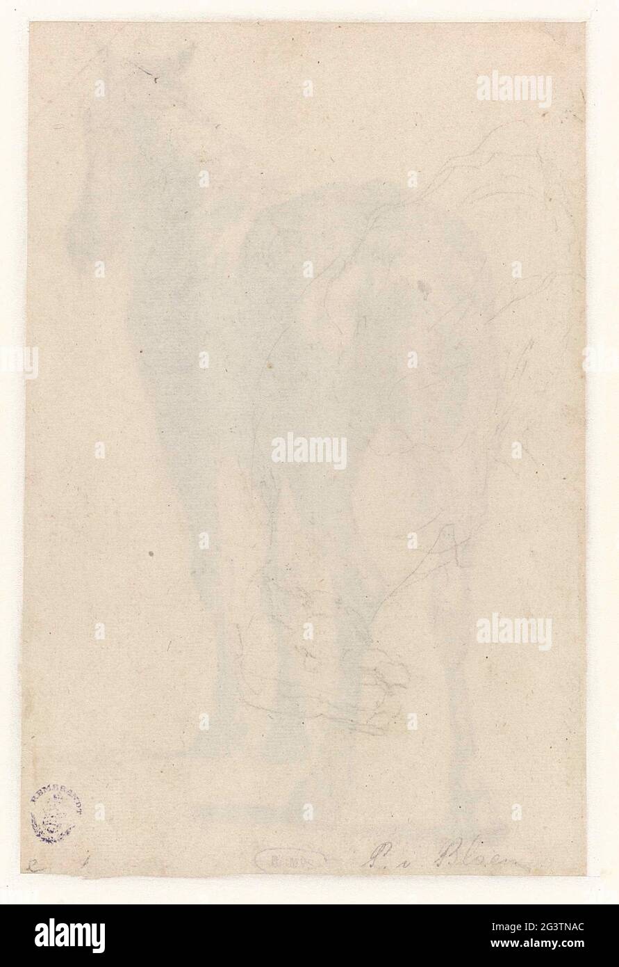 Sketch of a seated cow Stock Photo - Alamy