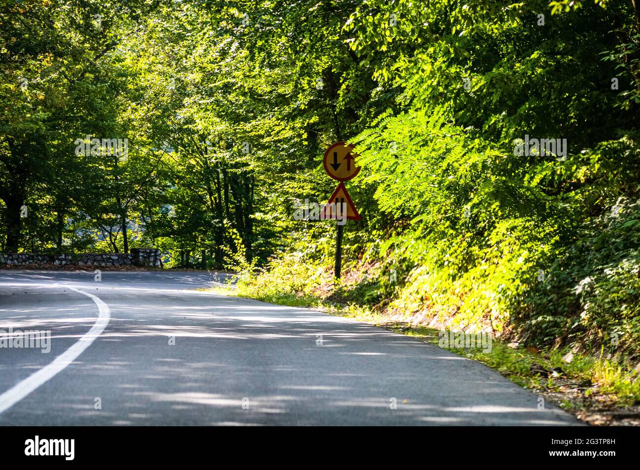 Beautiful road through the green forest Stock Photo - Alamy