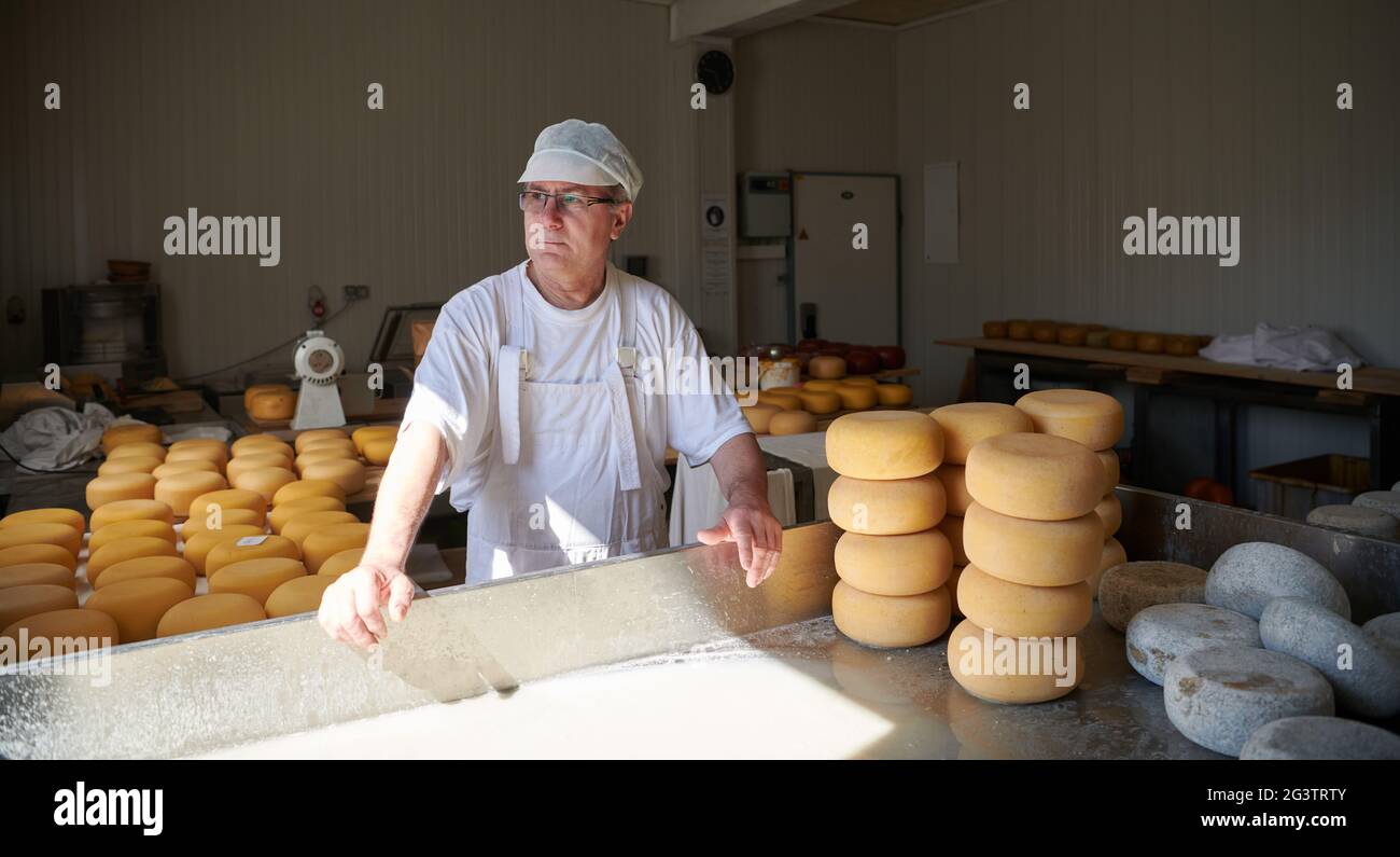 Cheese maker at local production factory Stock Photo - Alamy