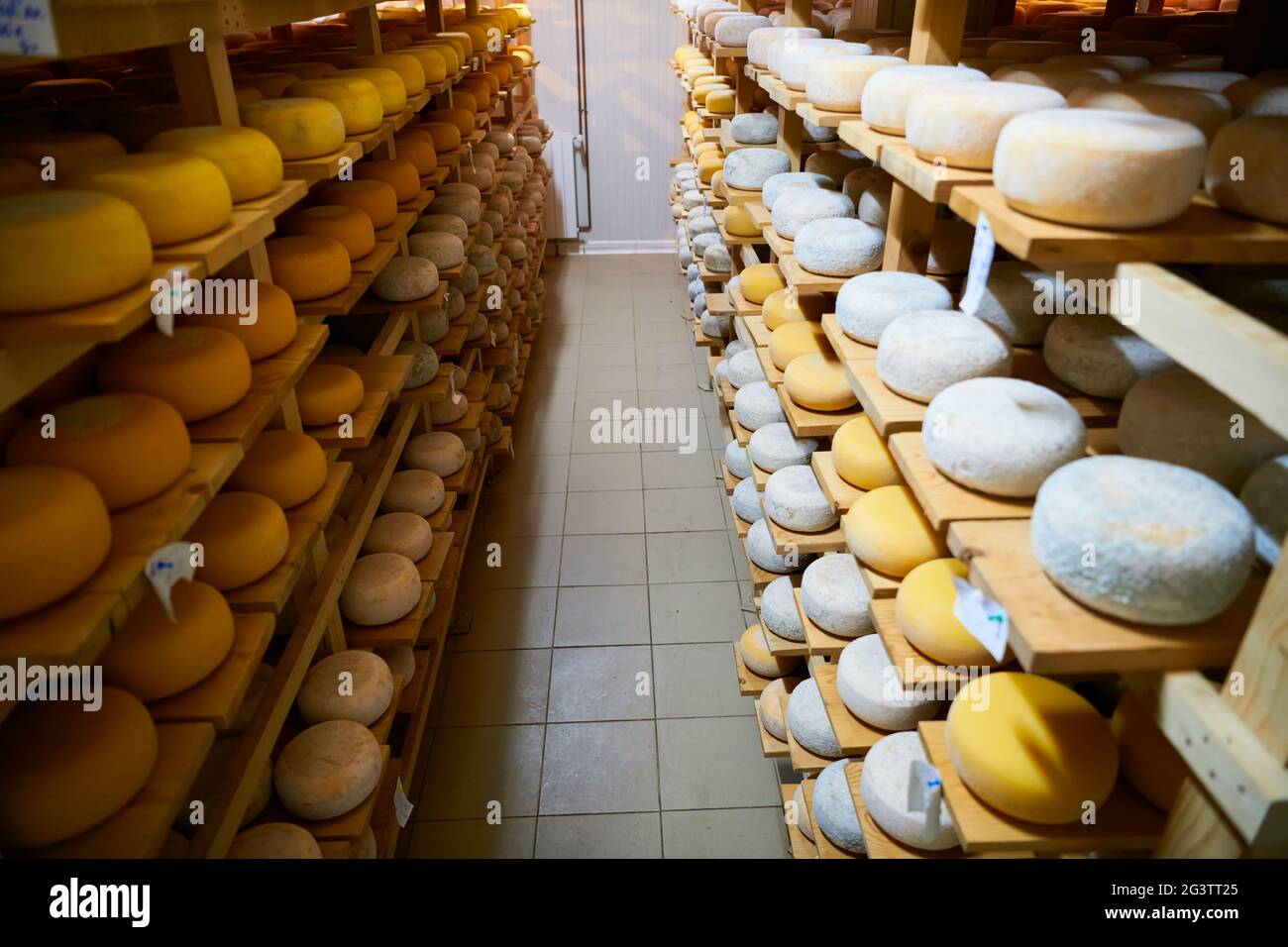 Cheese factory production shelves with aging old cheese Stock Photo - Alamy