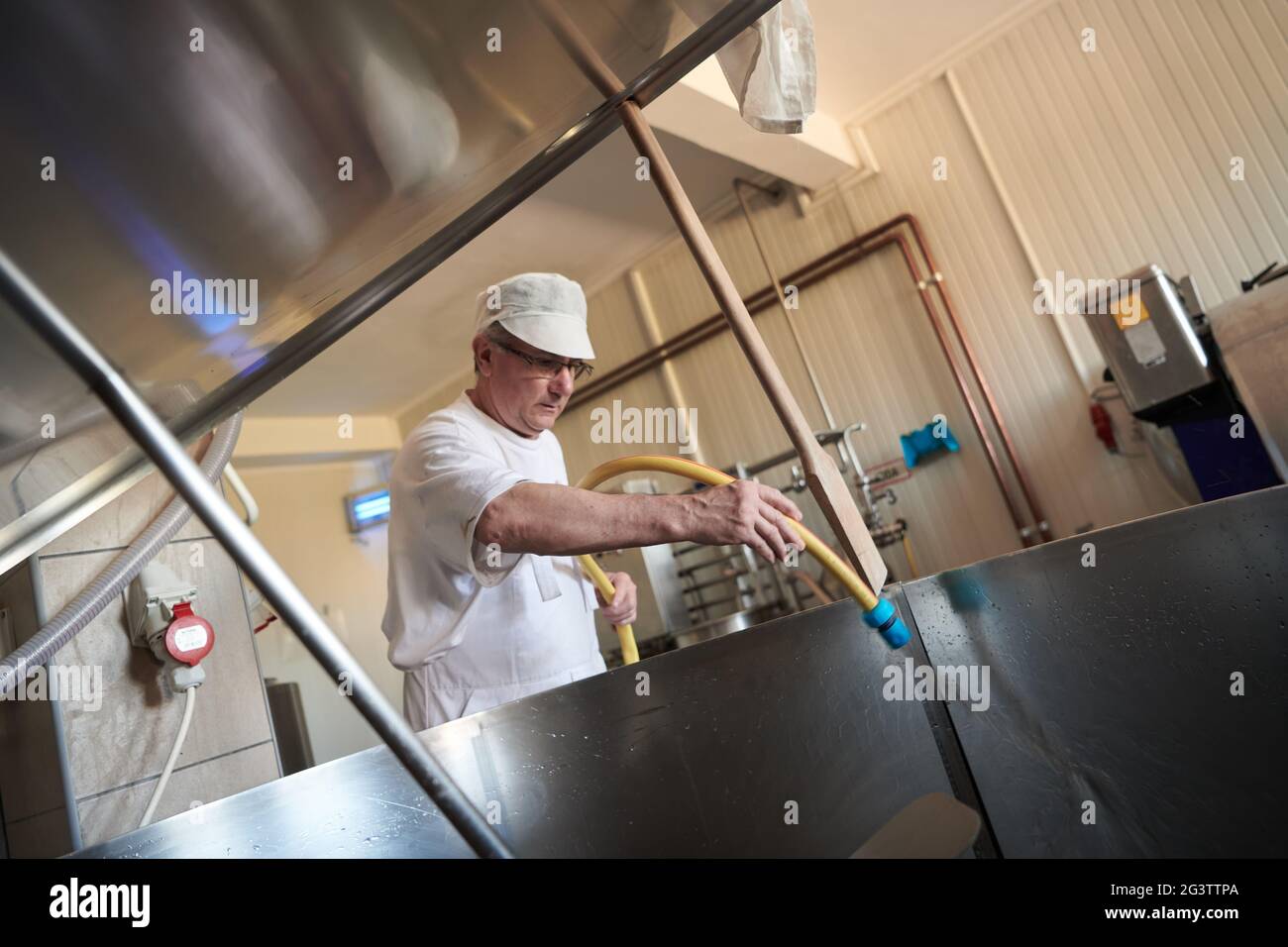 Cheese maker at local production factory Stock Photo - Alamy