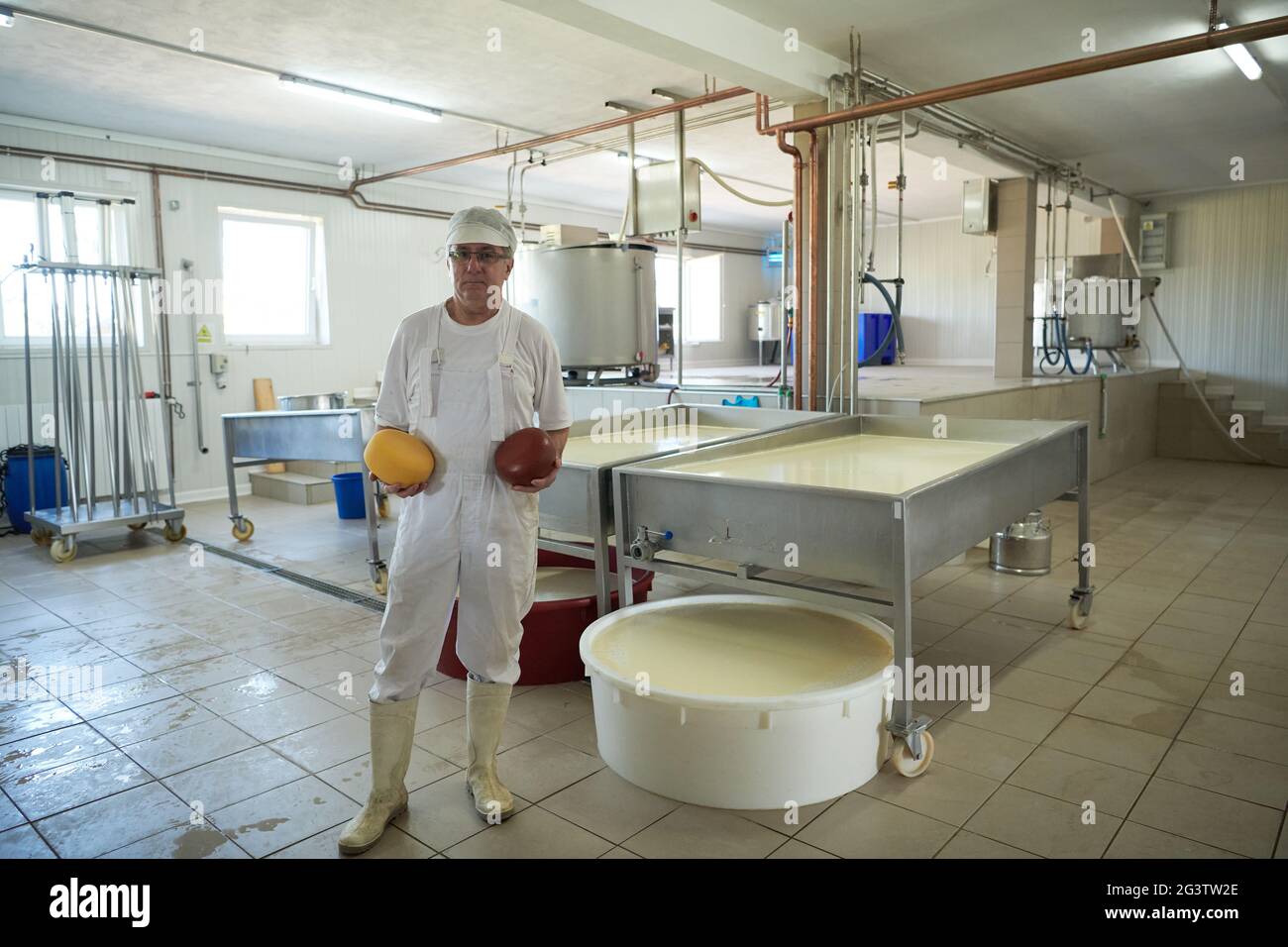 Cheese production cheesemaker working in factory Stock Photo - Alamy