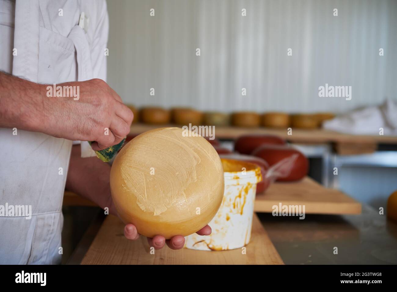 Cheese maker at local production factory Stock Photo - Alamy