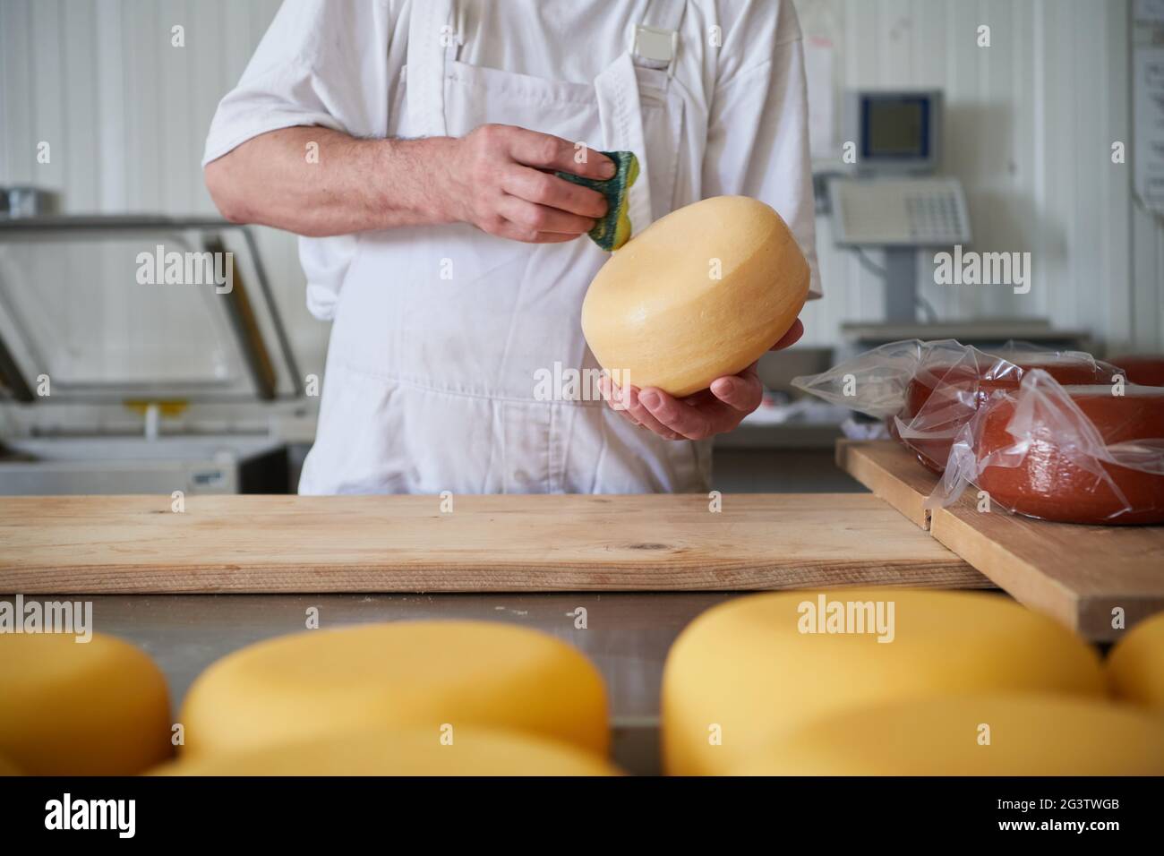 Cheese maker at local production factory Stock Photo - Alamy