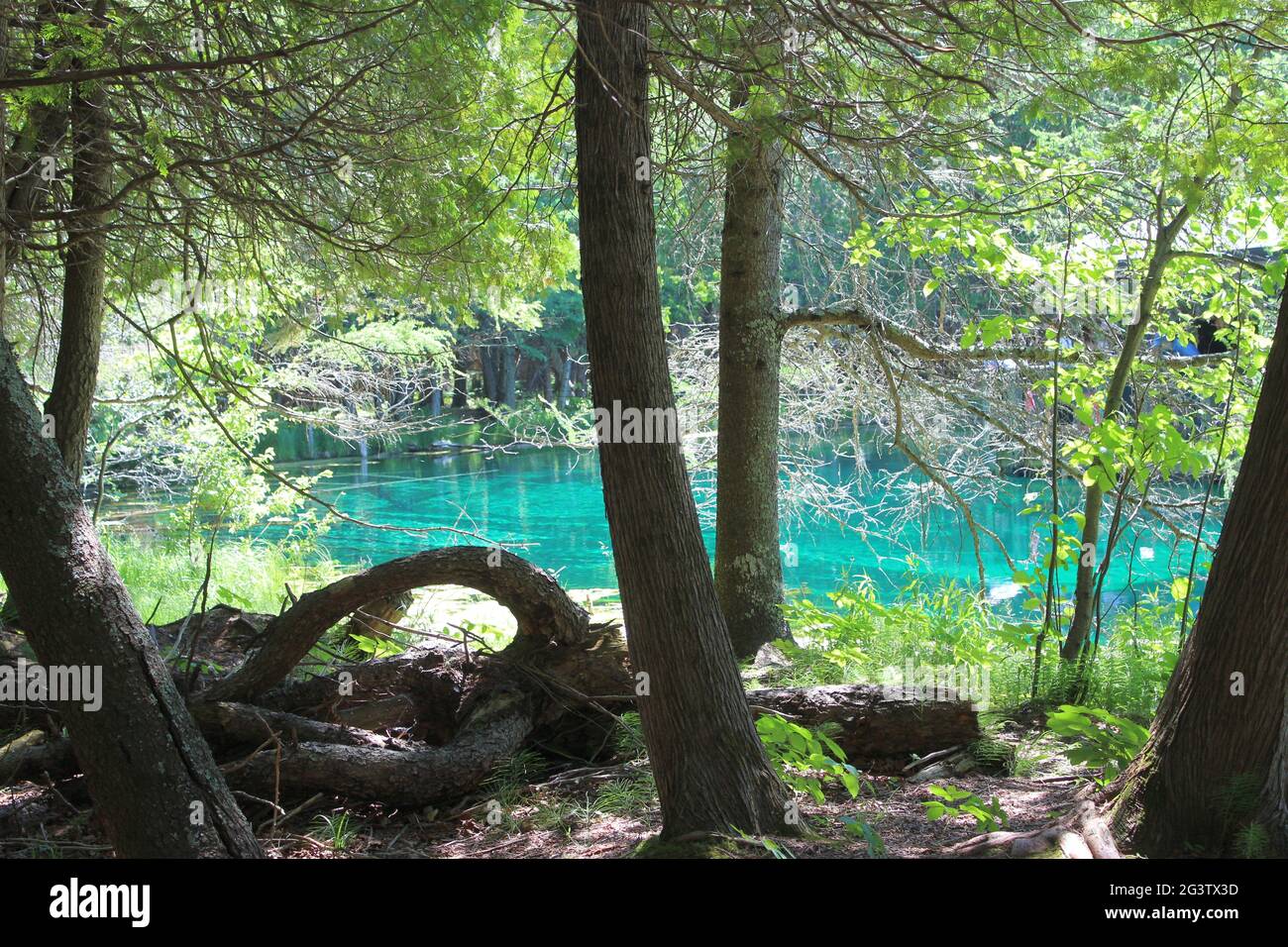 Kitch iti kipi hi-res stock photography and images - Alamy