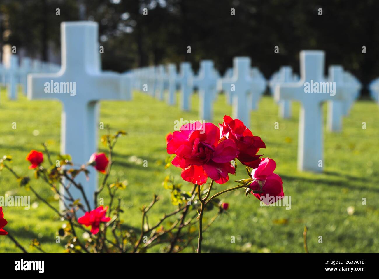 Rose memorial park cemetery hi-res stock photography and images - Alamy
