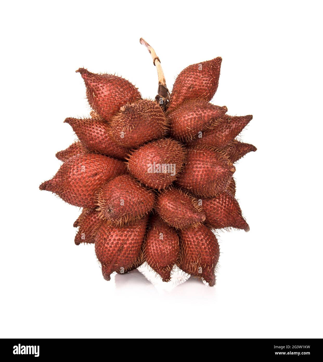 Sumalee hi-res stock photography and images - Alamy