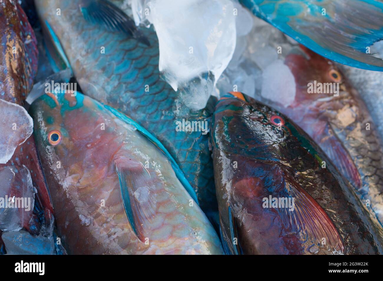 Fresh and colorful fish at the maket Stock Photo - Alamy