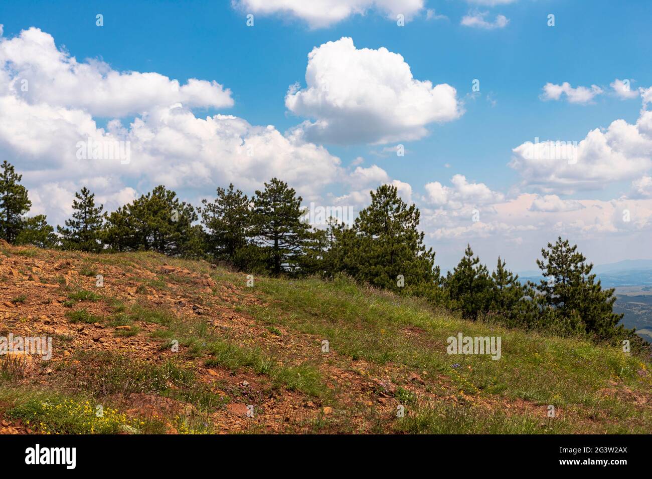 View of trees, meadow and amazing blue cloudy sky at Divcibare mountain ...