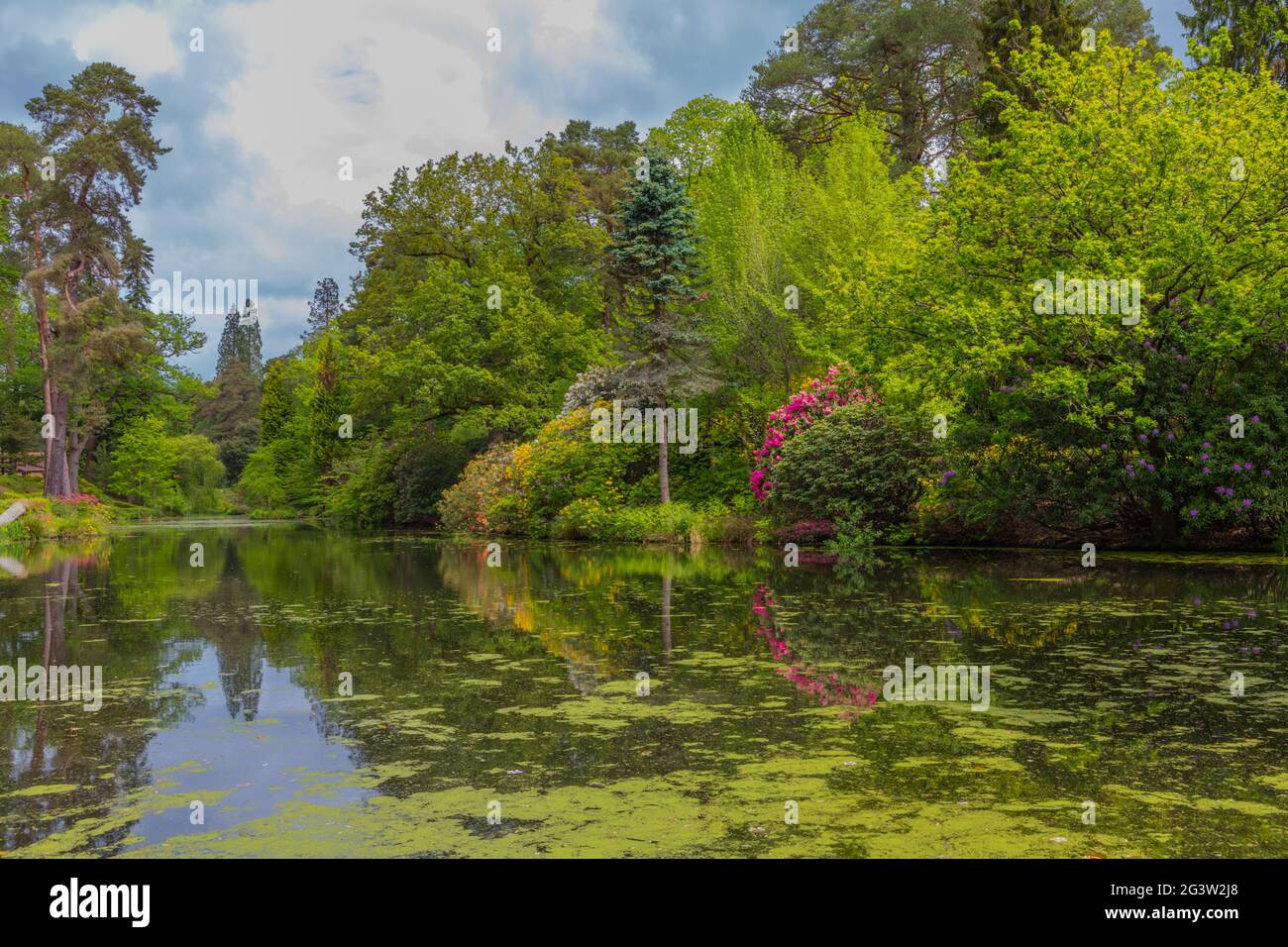 Mesmerizing view of a calm lake surrounded by different trees Stock ...