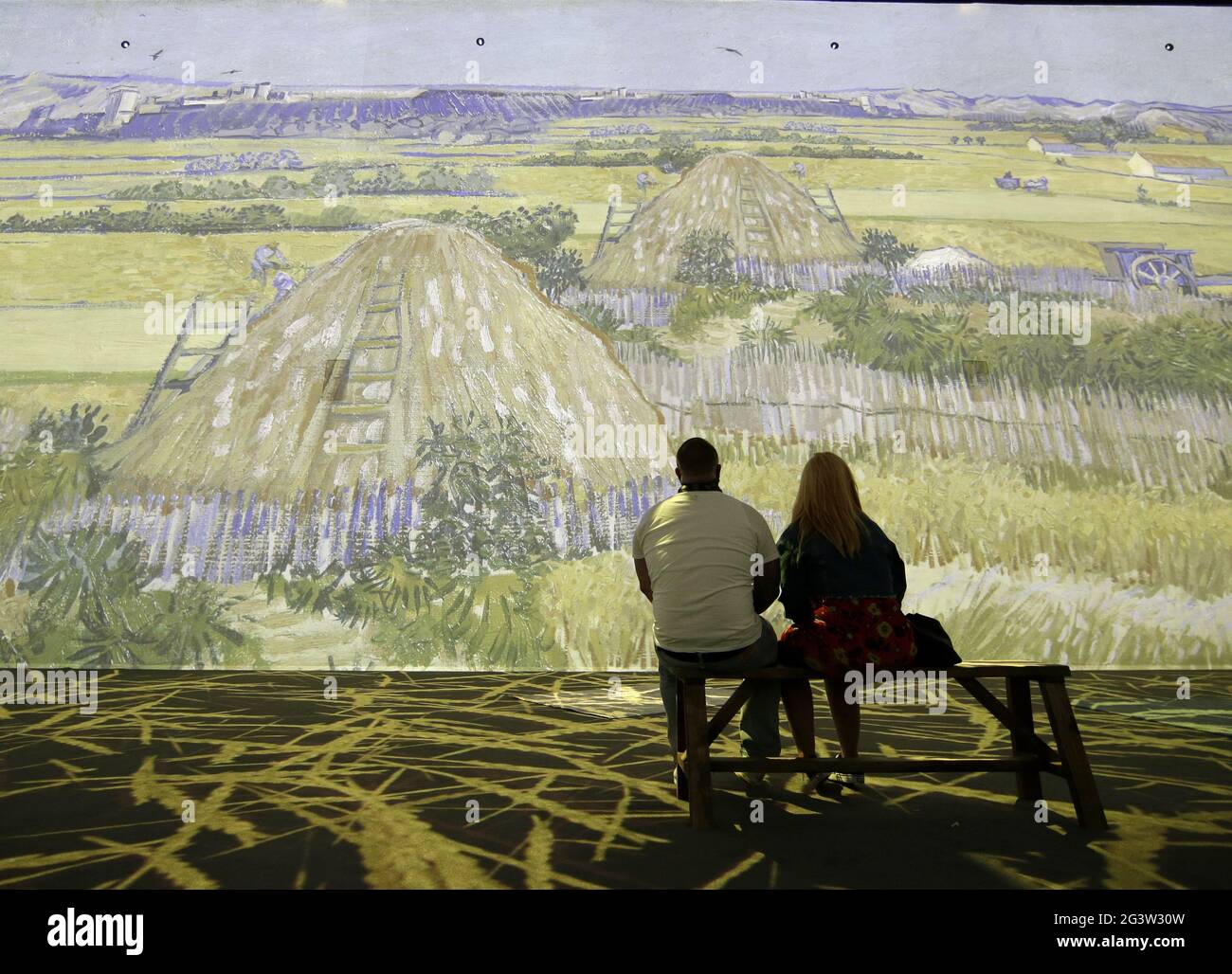 Dutch Artist Vincent Van Gogh High Resolution Stock Photography and ...