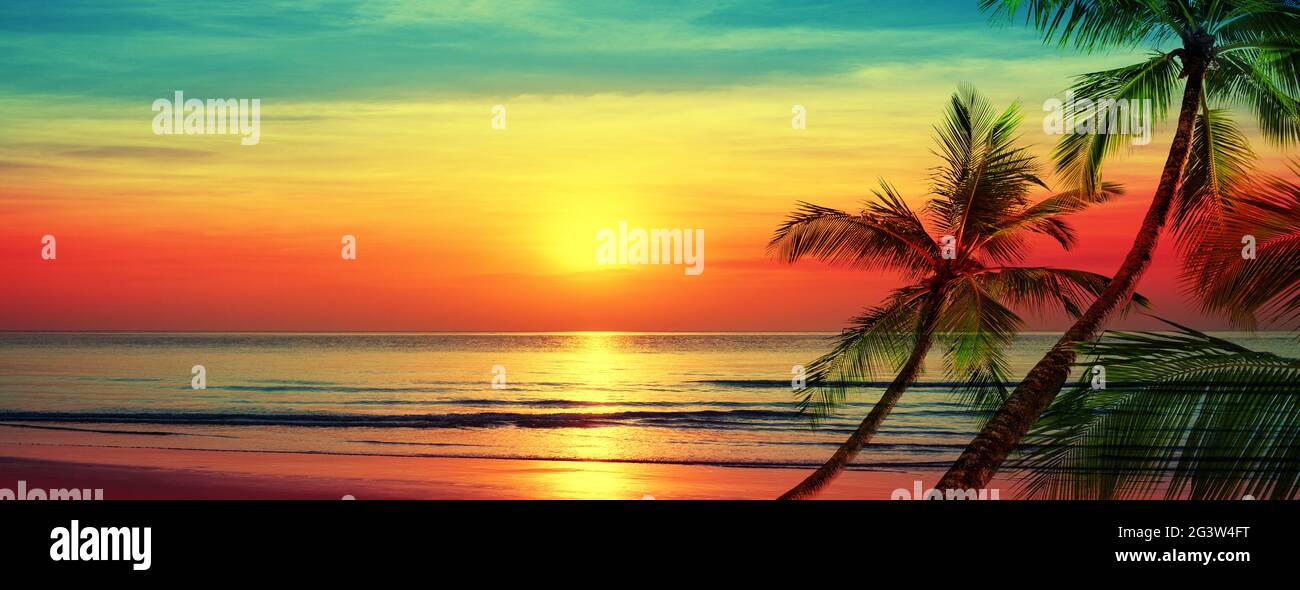 Blue And Yellow Sunset