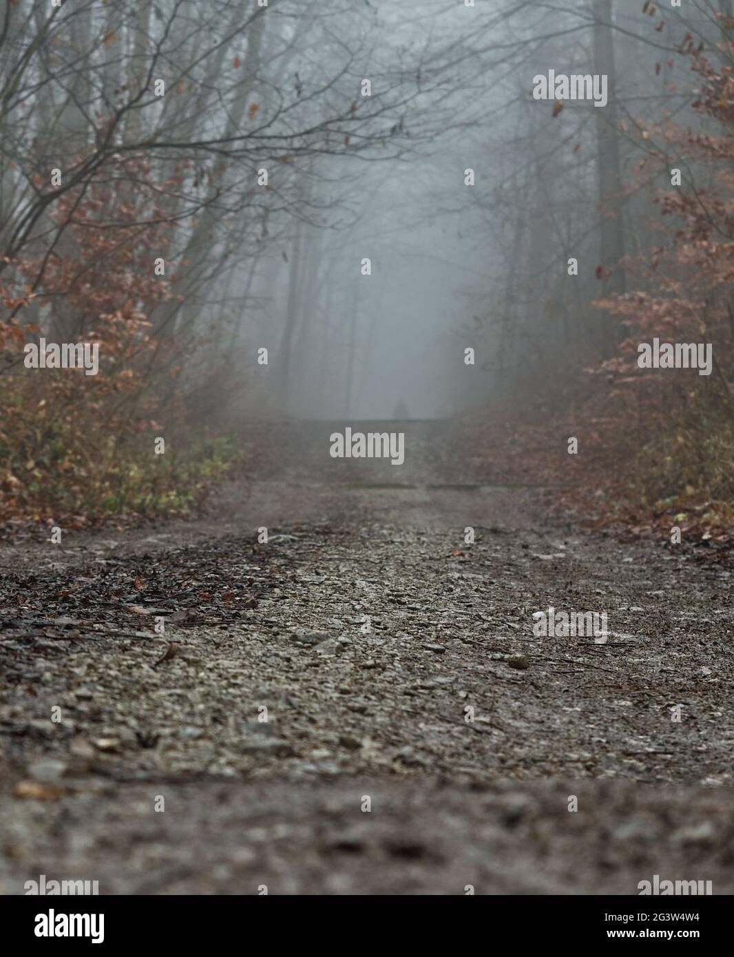 Heavy ground fog hi-res stock photography and images - Alamy