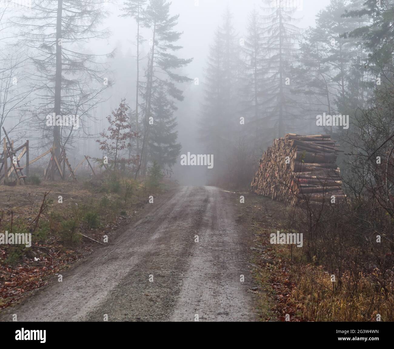 Too heavy to walk hi-res stock photography and images - Alamy