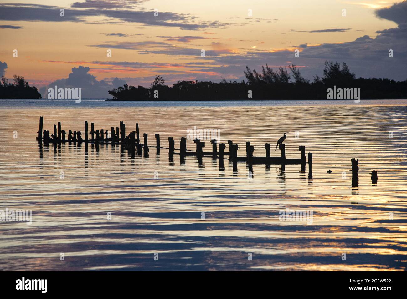 Remnants Of A Dock High Resolution Stock Photography and Images - Alamy