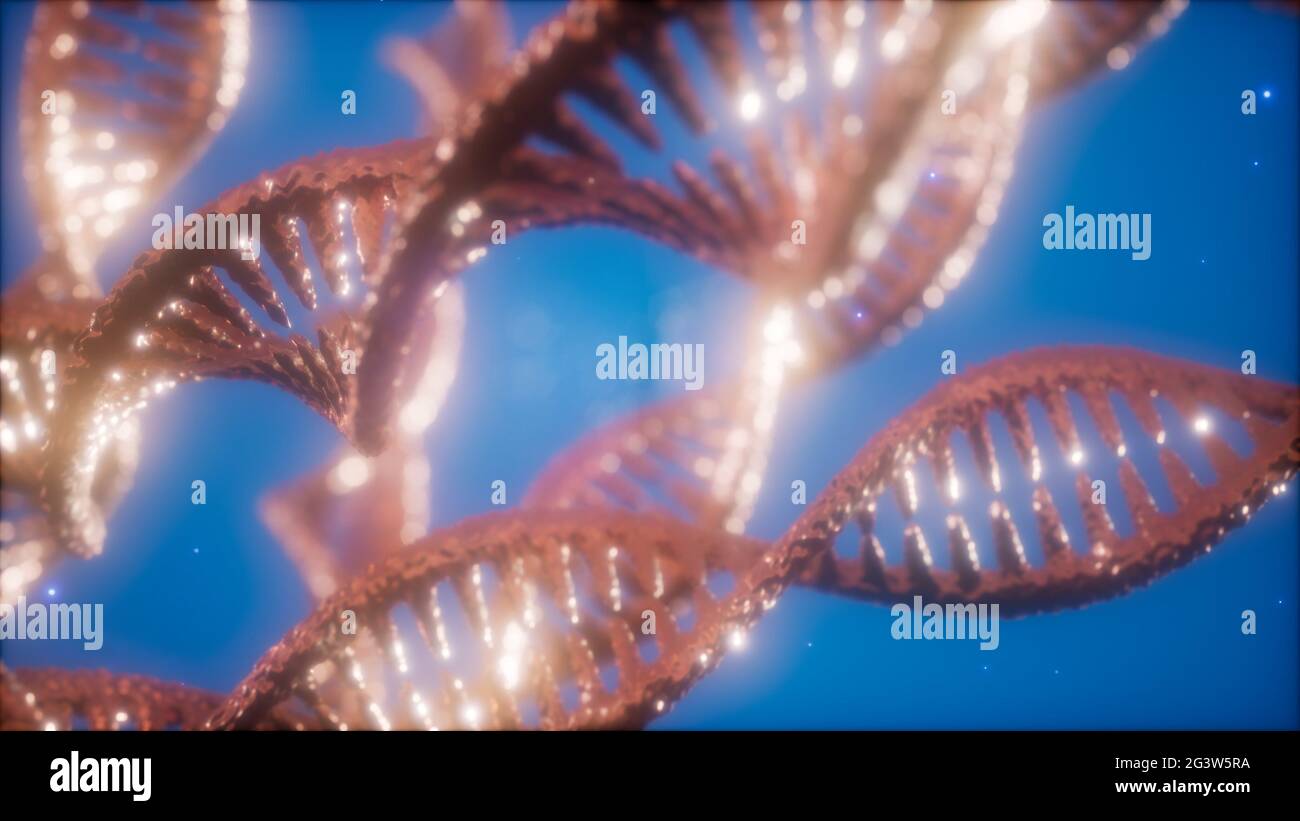 Structure of the DNA double helix animation Stock Photo - Alamy