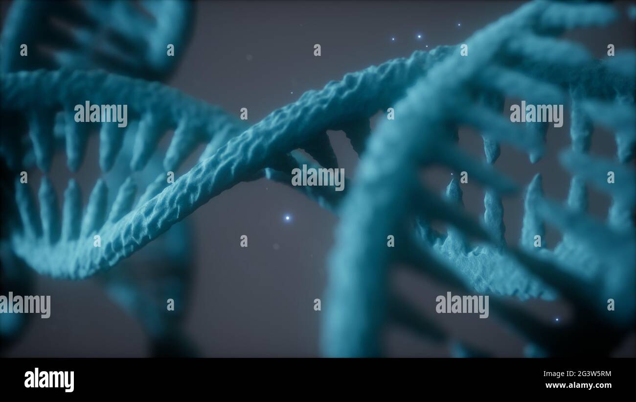Double helical structure of dna strand close-up animation Stock Photo ...