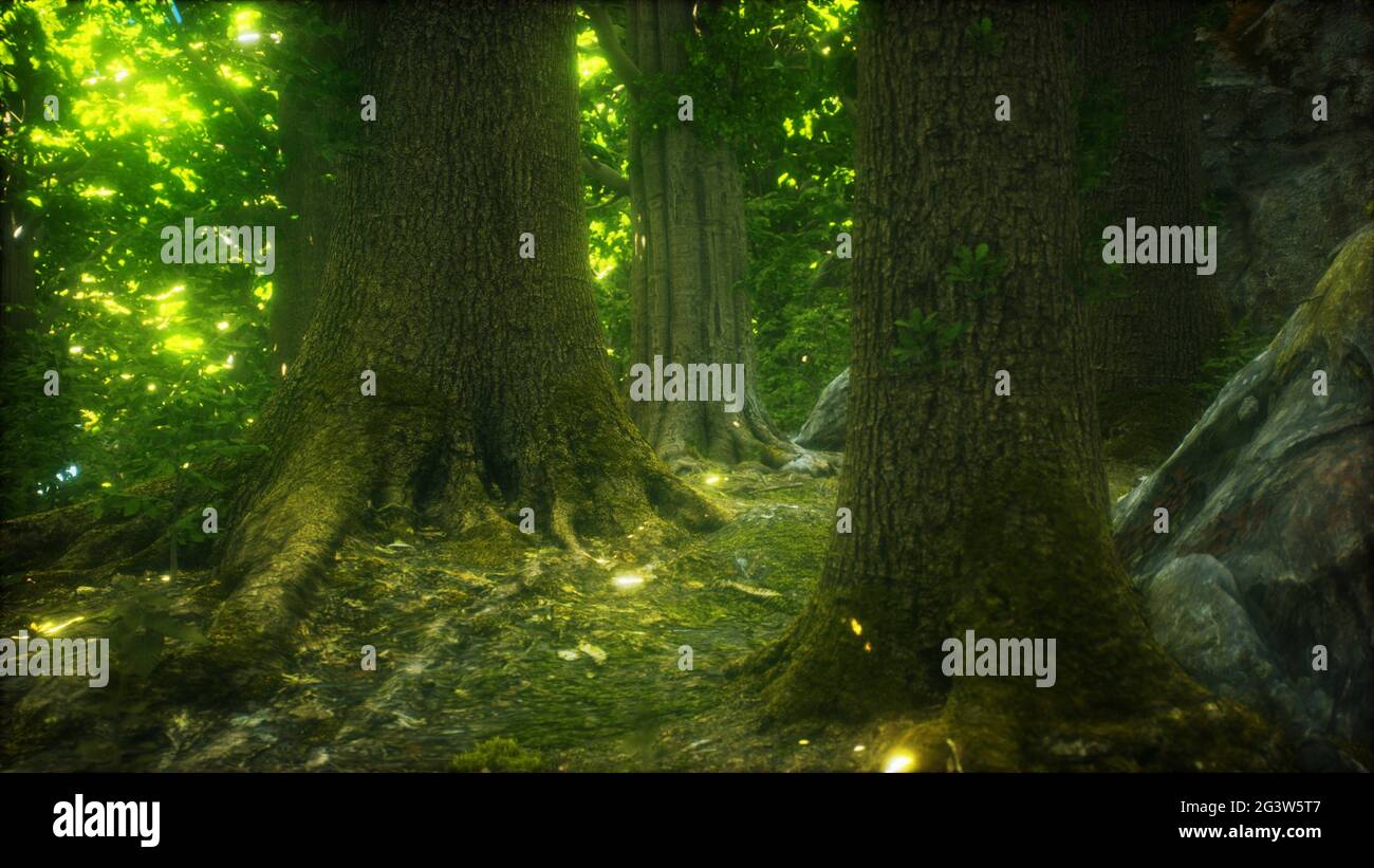 Mossed hi-res stock photography and images - Alamy