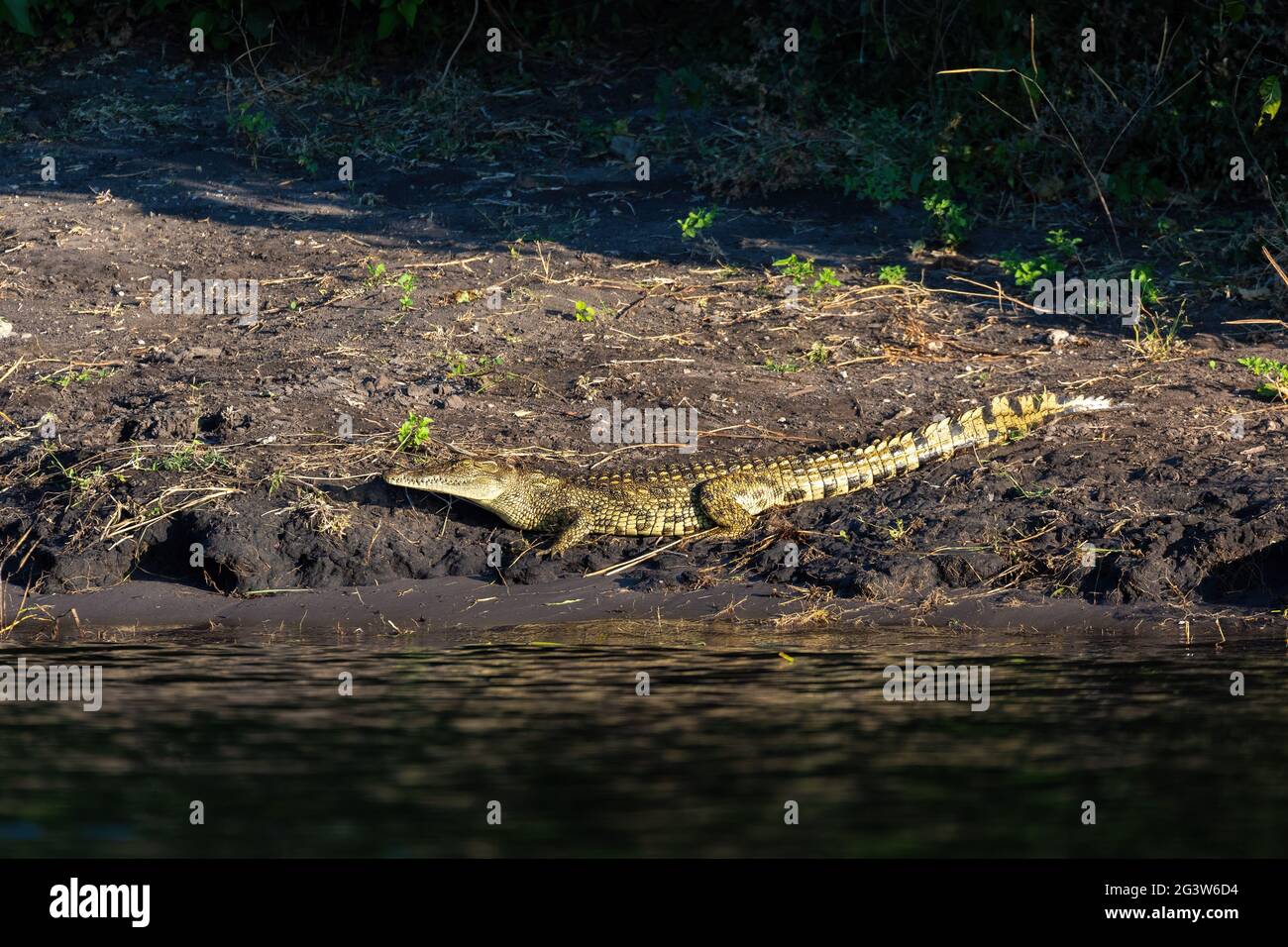 The nile river mouth hi-res stock photography and images - Alamy