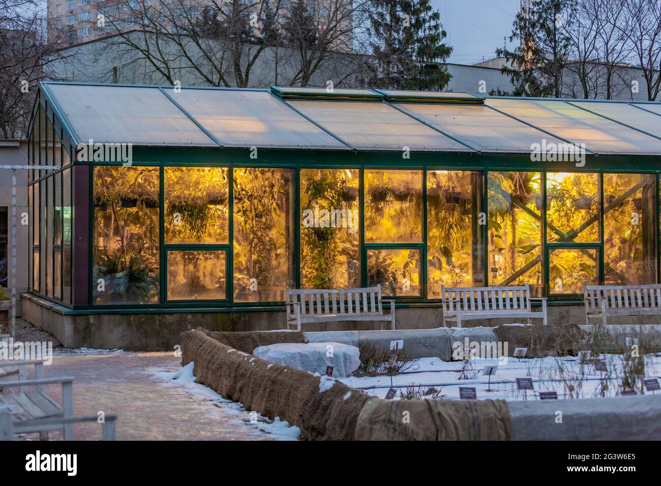 Moscow greenhouse for tropical plants, Russia Stock Photo - Alamy