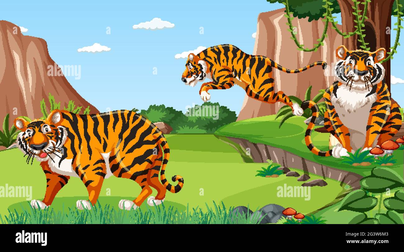 Forest or rainforest scene with tiger family illustration Stock Vector Image & Art - Alamy