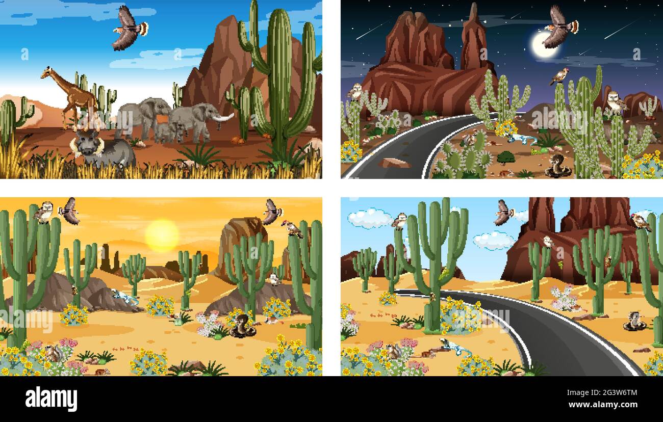 Plants That Live In The Desert Cartoon Pictures A Adaptations In