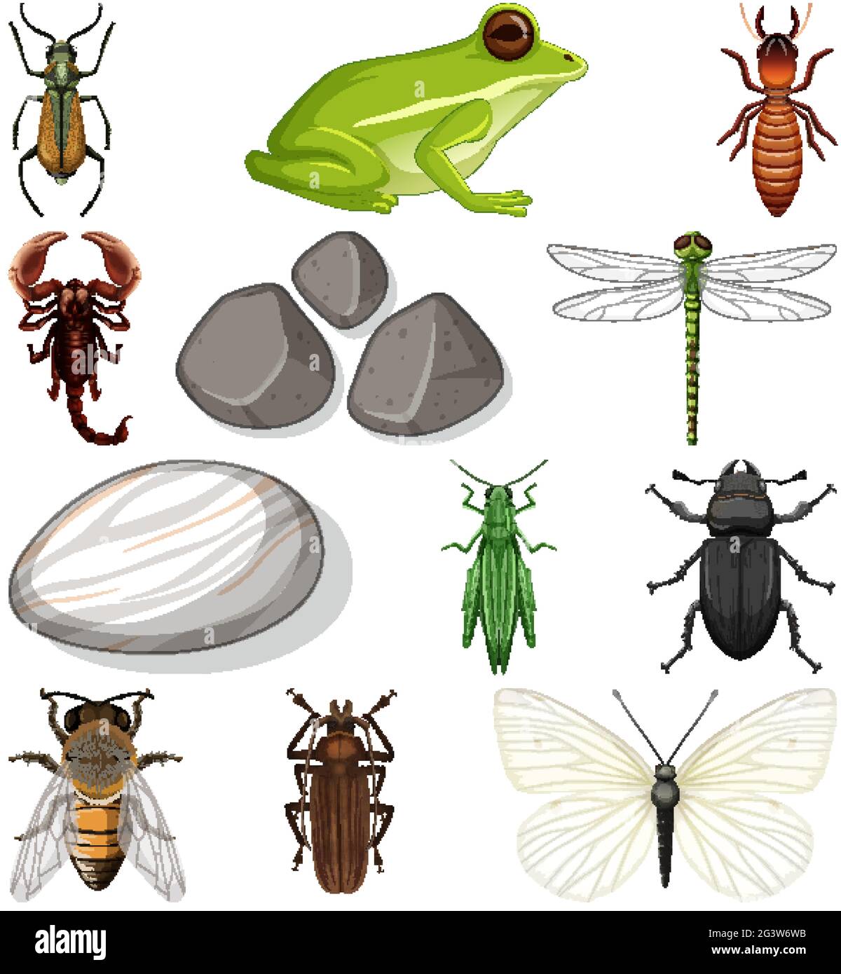 Different types of insect with nature elements illustration Stock ...