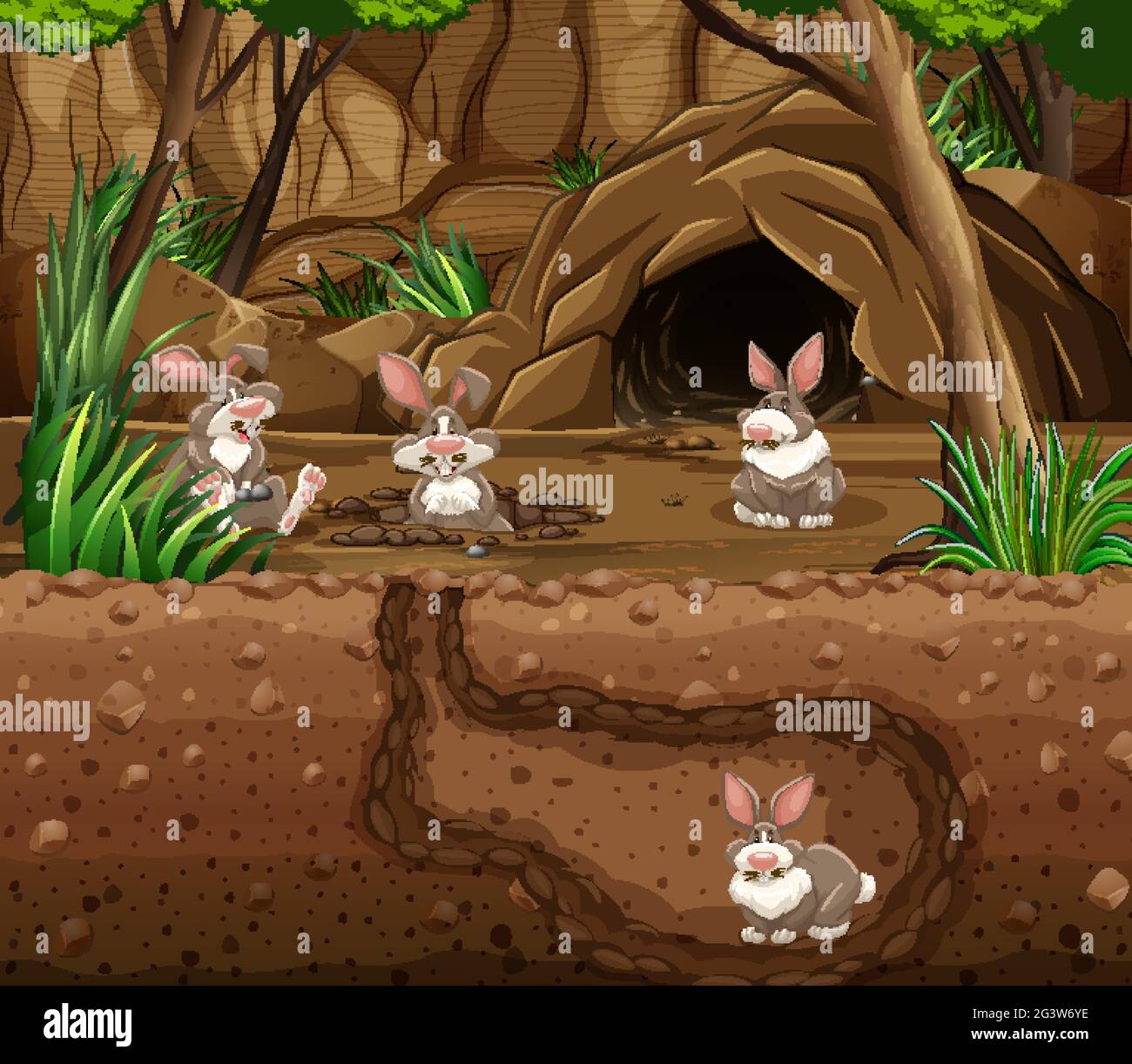 Underground animal burrow with rabbit family illustration Stock Vector Image & Art - Alamy
