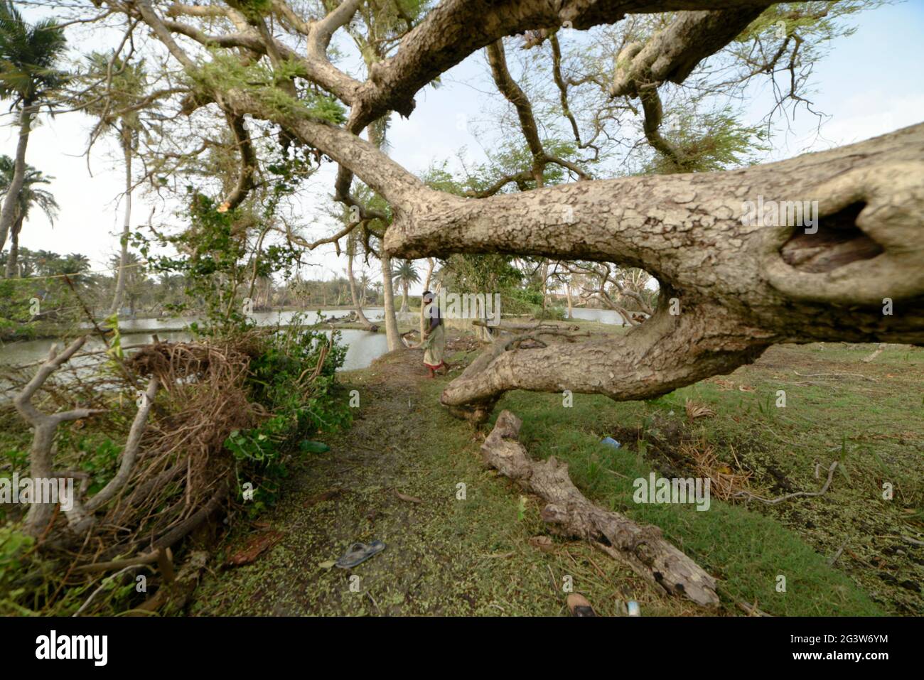 Yaas super cyclone in Bengal Stock Photo - Alamy