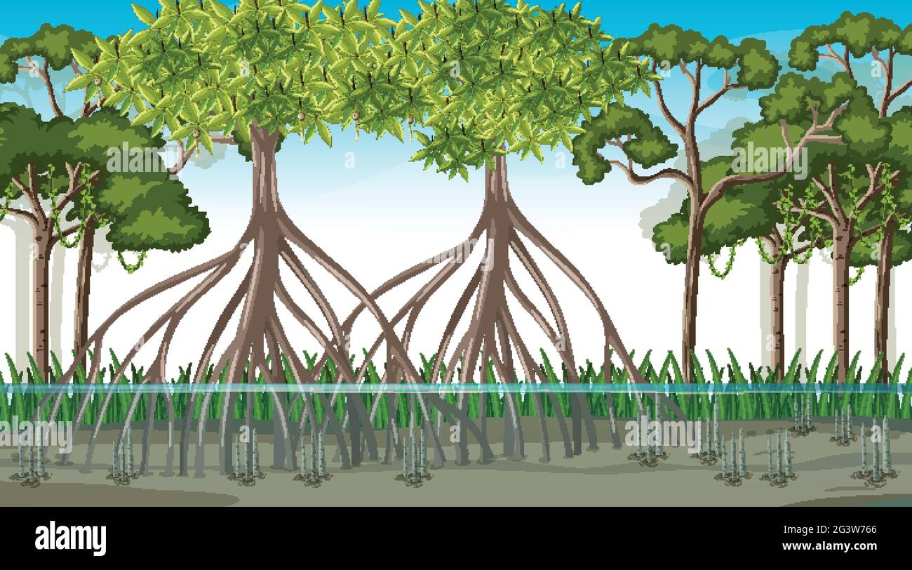 Nature scene with Mangrove forest at daytime in cartoon style ...