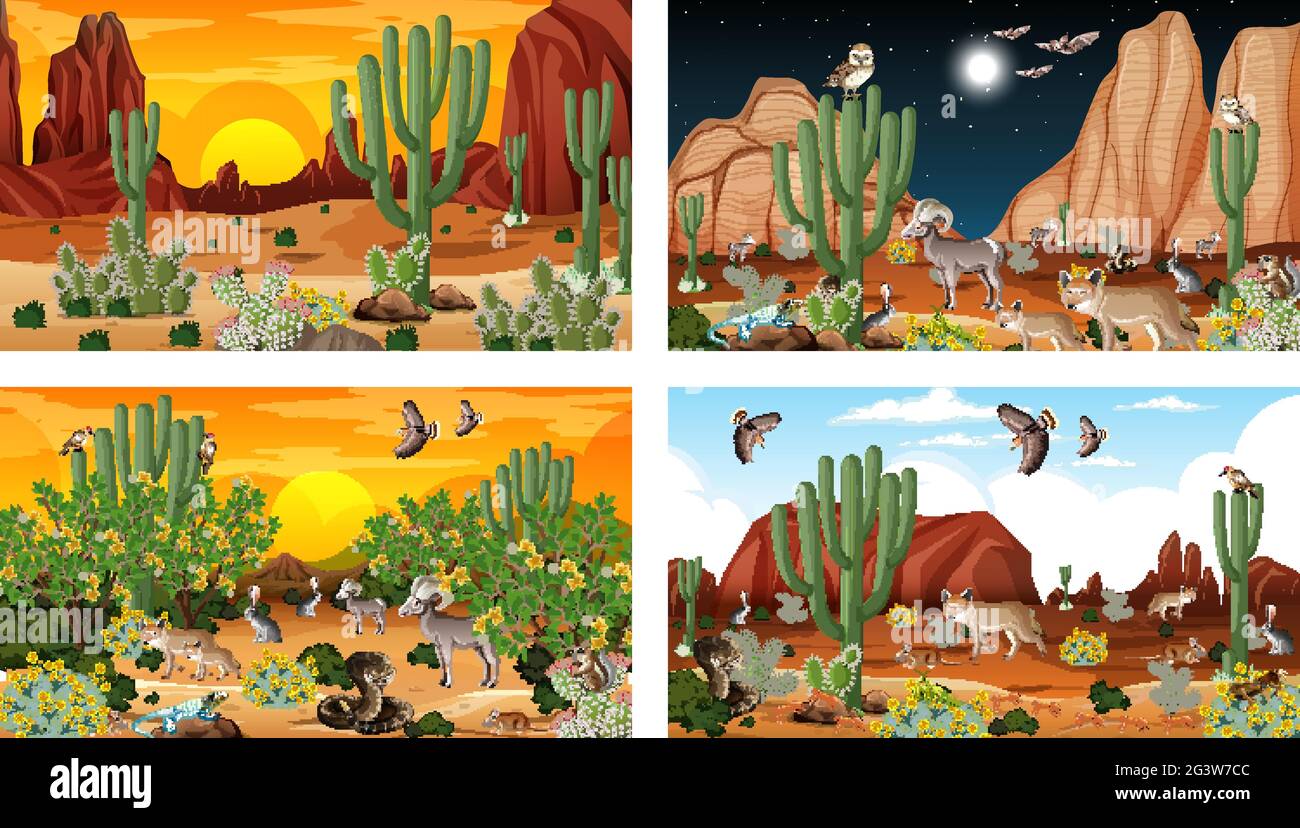 Different desert forest scenes with animals and plants illustration ...