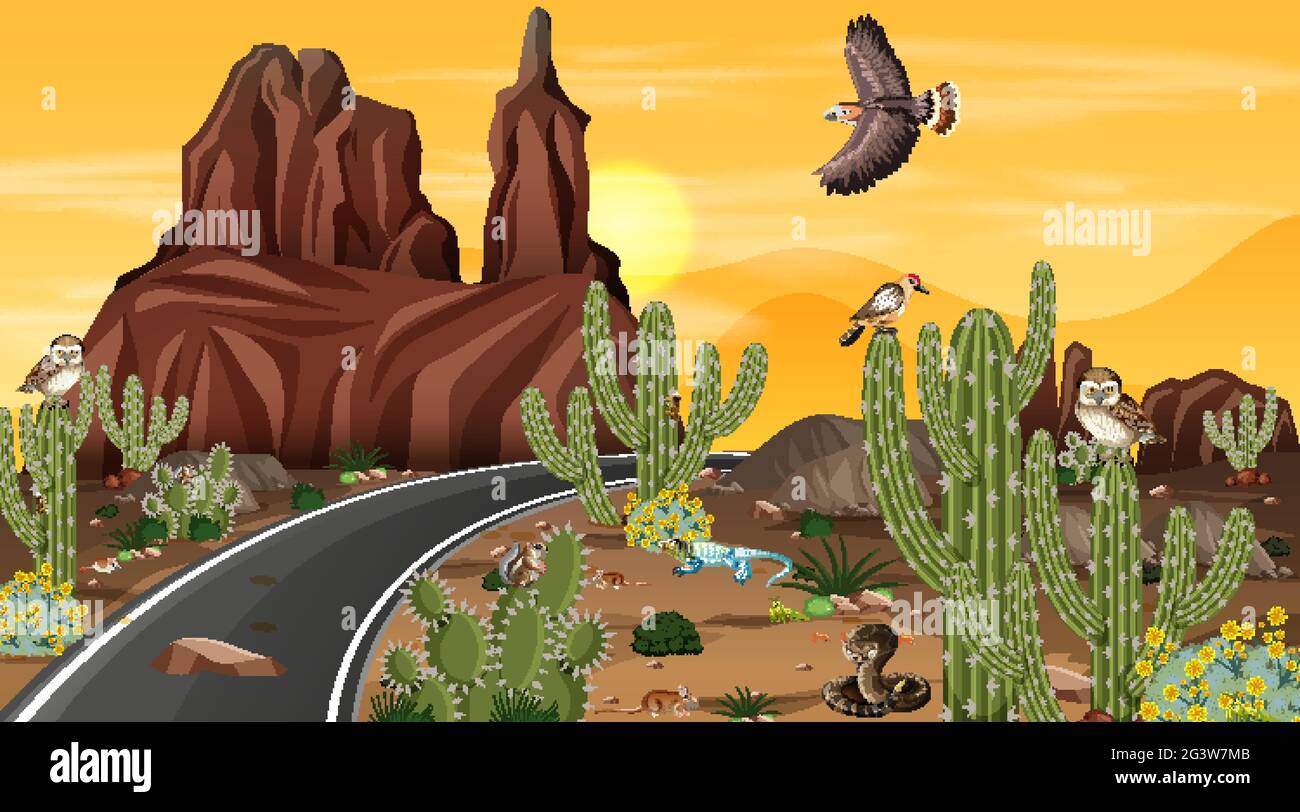 Road through the desert forest landscape scene with desert animals ...