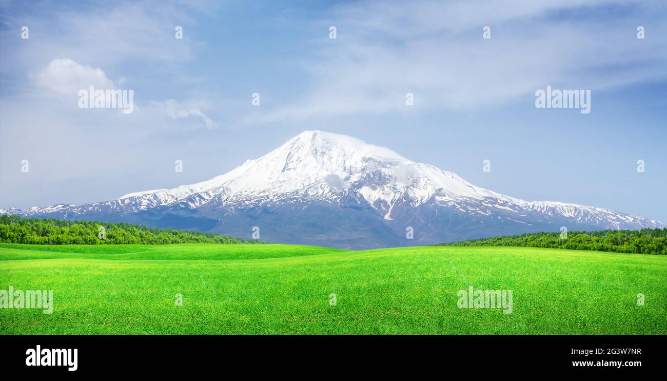 Green grass field in front of Ararat mountain in snow. Sunny summer ...