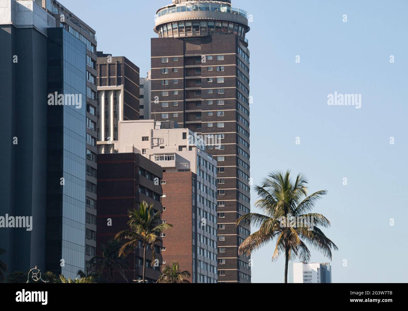 Palm trees growing on esplanade in front of tall buildings Stock Photo ...