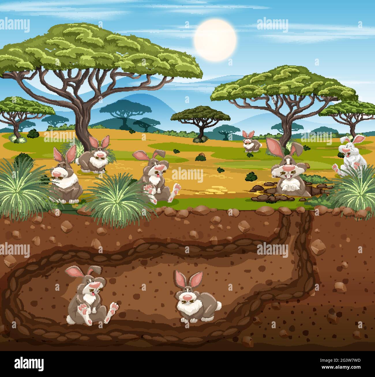 Underground animal burrow with rabbit family illustration Stock Vector Image & Art - Alamy