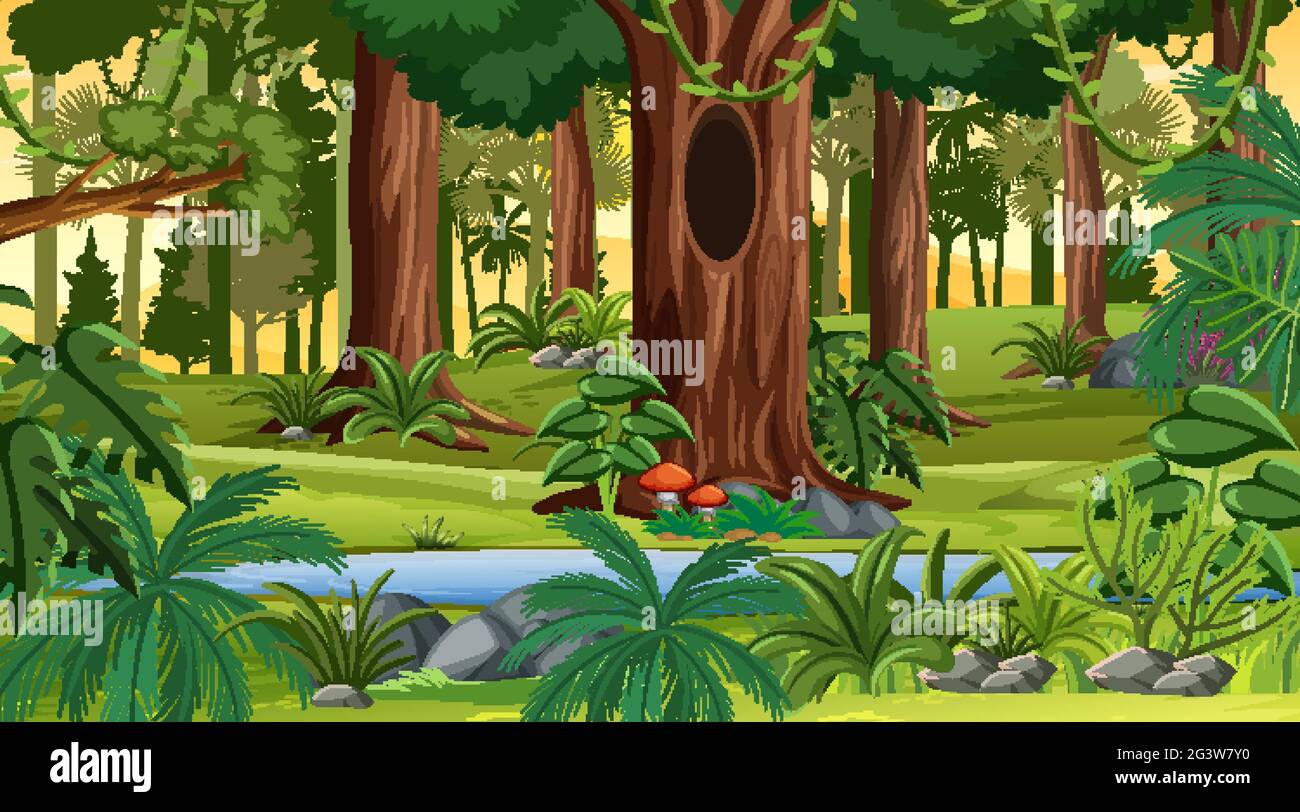 Forest landscape scene at sunset time with many different trees ...