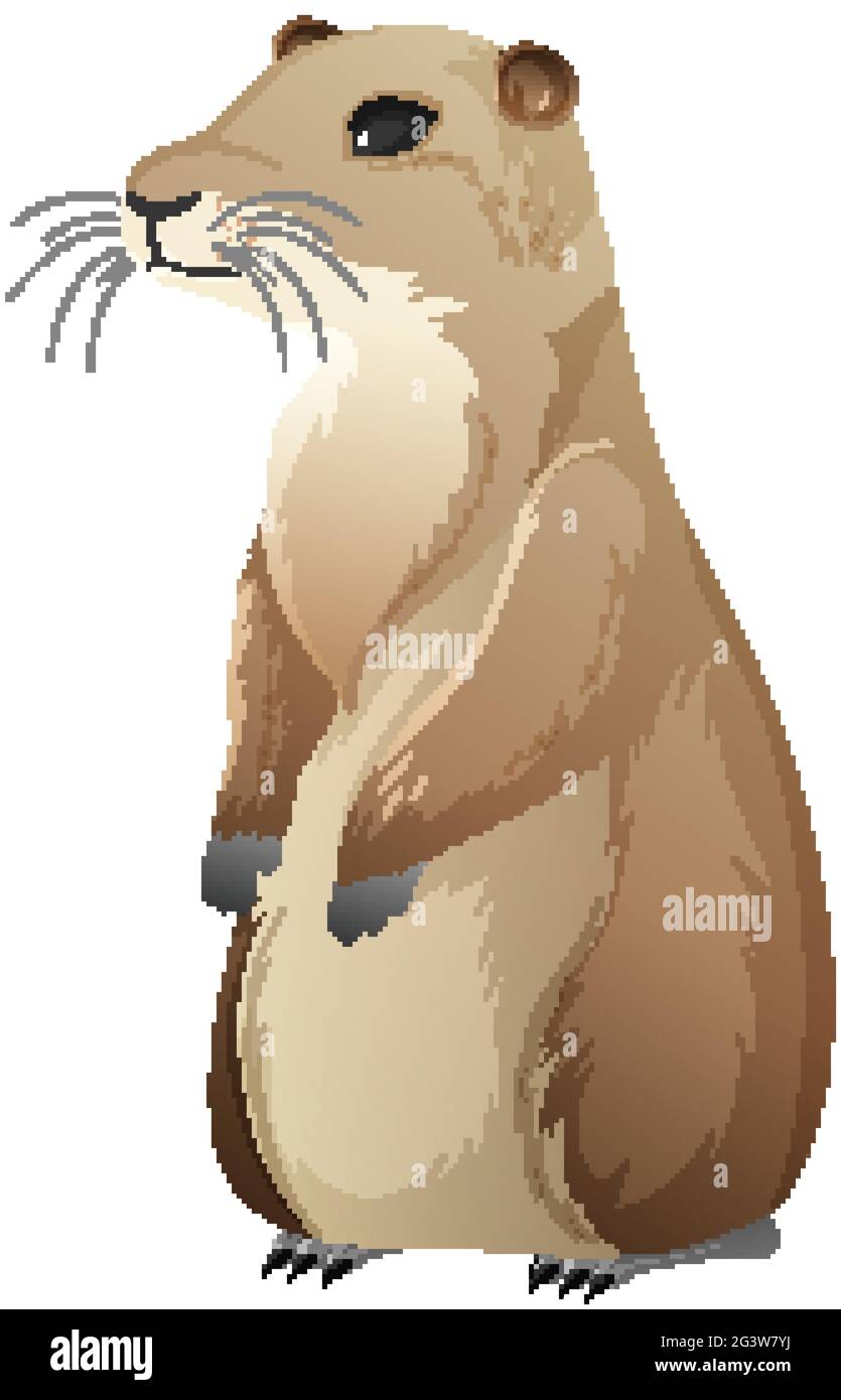 Animal cartoon character of Prairie dog on white background ...