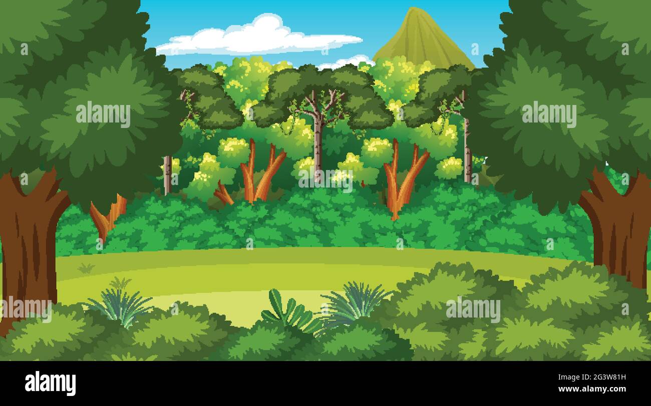 Forest scene with various forest trees illustration Stock Vector Image ...