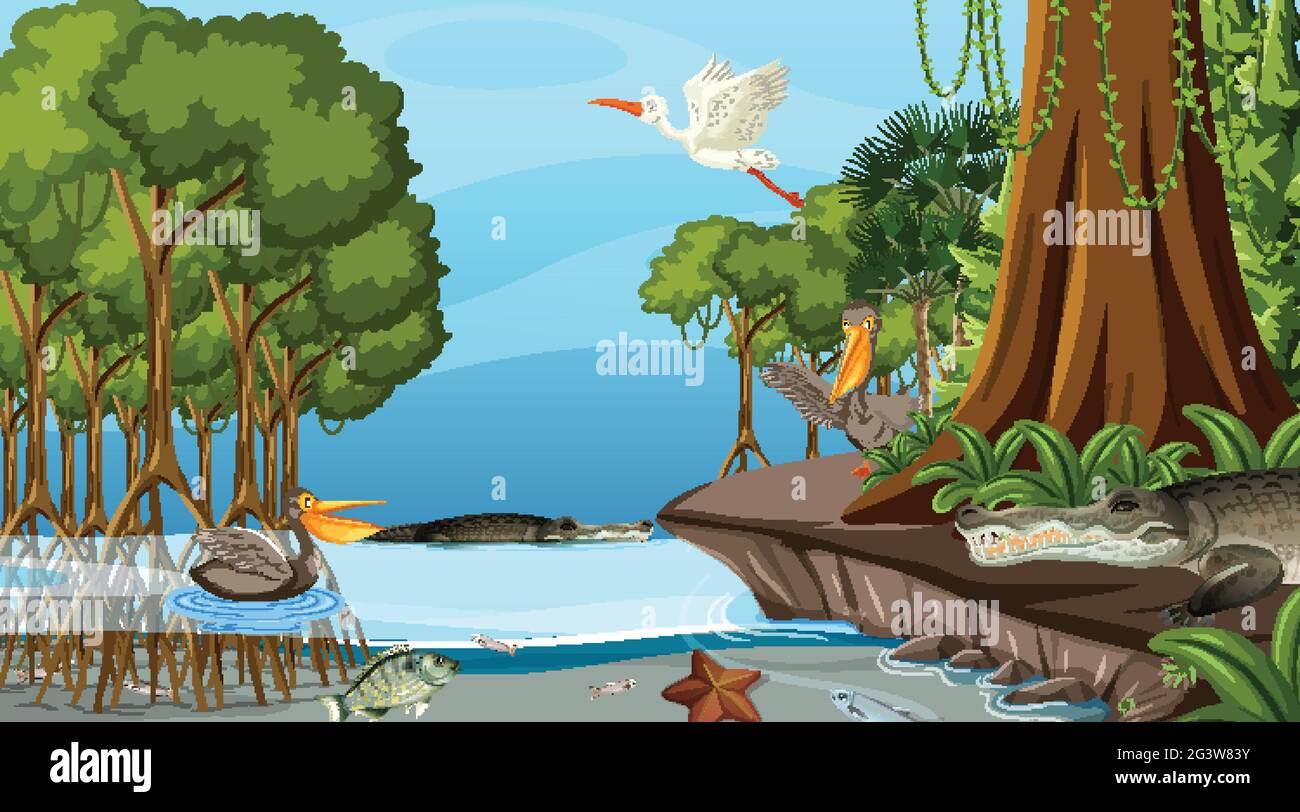 Nature scene with Mangrove forest at daytime in cartoon style ...