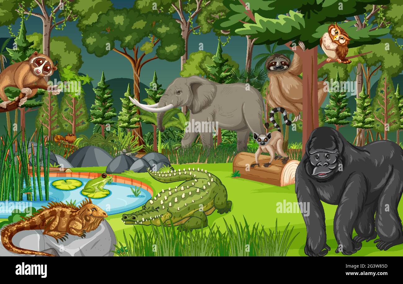 Wild animal cartoon character in the forest scene illustration Stock ...