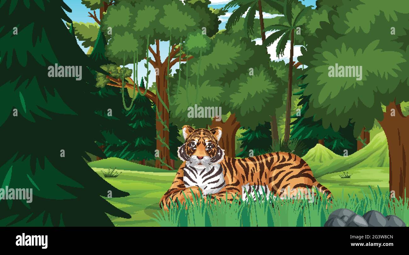 A tiger in forest or rainforest scene with many trees illustration ...