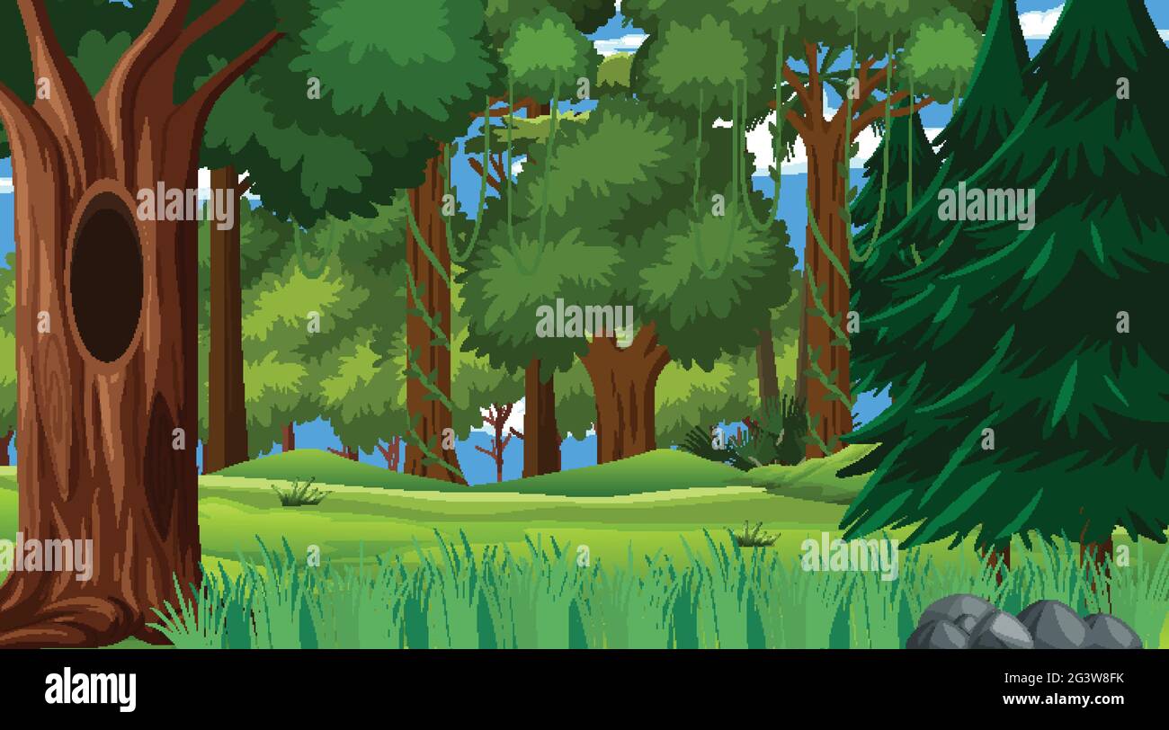 Forest scene with various forest trees illustration Stock Vector Image ...